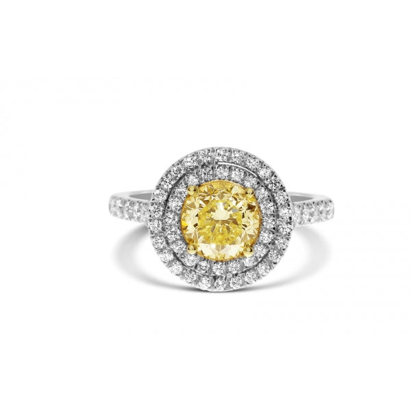 New Year Sparkle With BGD