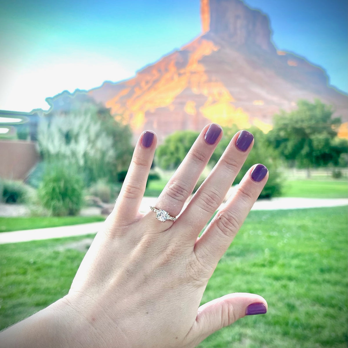 A Telluride Proposal For Brett And Alyssa