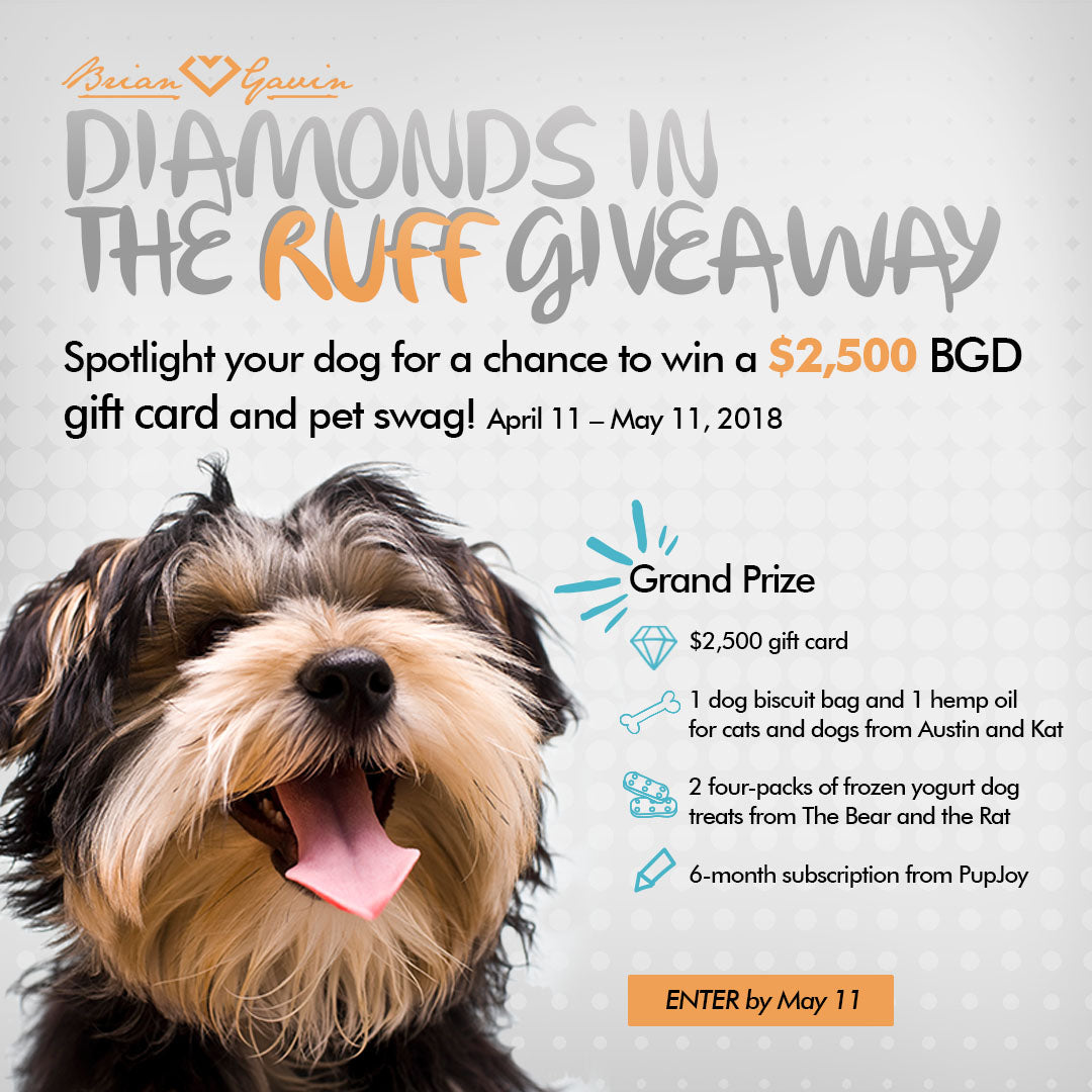 Celebrate Your Dog and Enter to Win the Ultimate Pet Package
