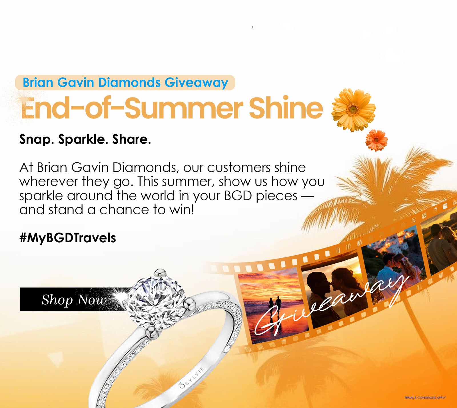 Brian Gavin Diamonds